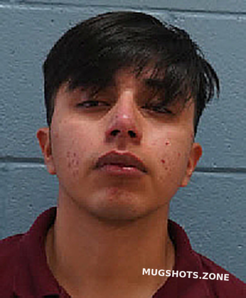 ROGER LUIS MIGUEL-DOMINGO-RAMIREZ 05/26/2024 - Lee County Mugshots Zone