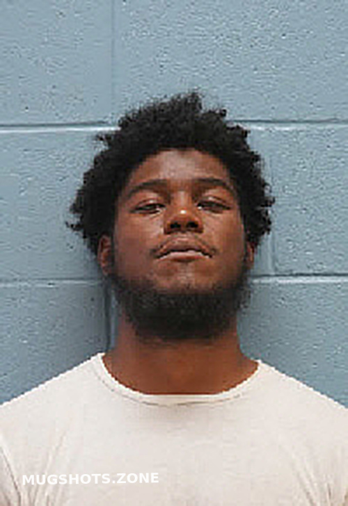 DAMONTAE MARTEZ MARTIN 07/02/2024 - Lee County Mugshots Zone