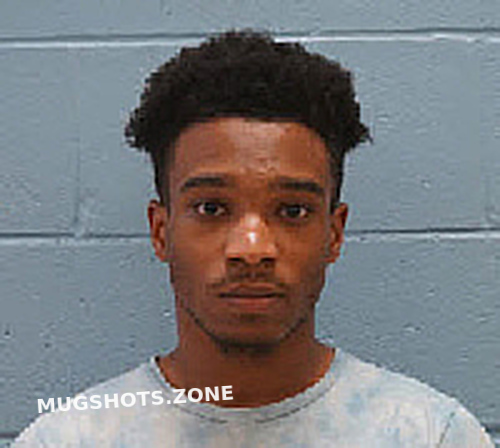ARTAVIOUS TERRELL WILLIAMS 07/11/2024 - Lee County Mugshots Zone