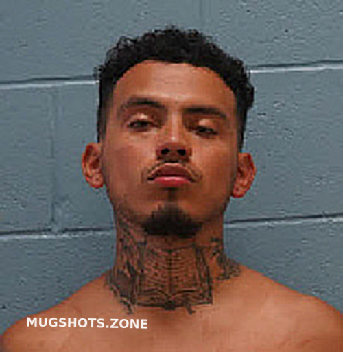 AXEL DANIEL MORALES 08/01/2024 - Lee County Mugshots Zone