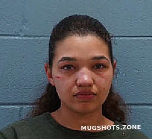 ANDREA NICOLE LEMONS 11/02/2024 - Lee County Mugshots Zone