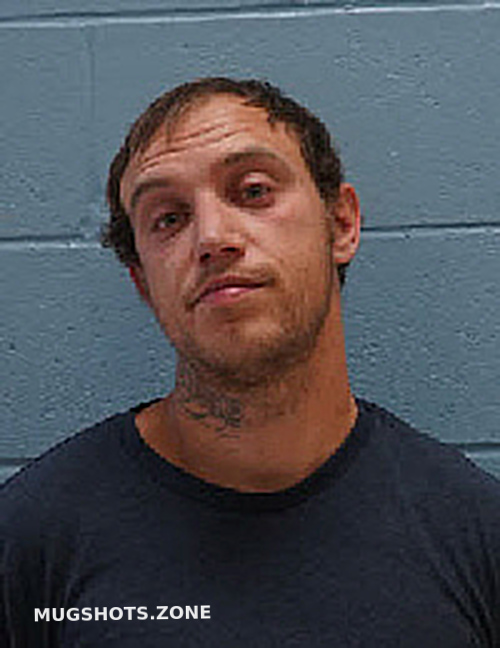 MICHAEL DWAYNE REEVES 12/05/2024 - Lee County Mugshots Zone