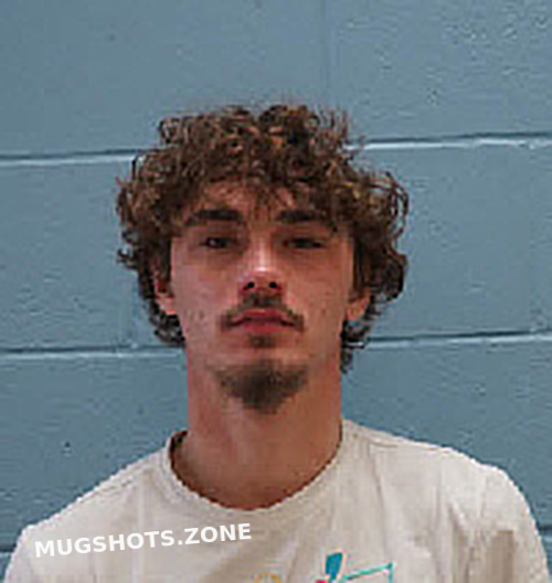 BRANDON DEWAYNE CRISP 12/16/2024 - Lee County Mugshots Zone