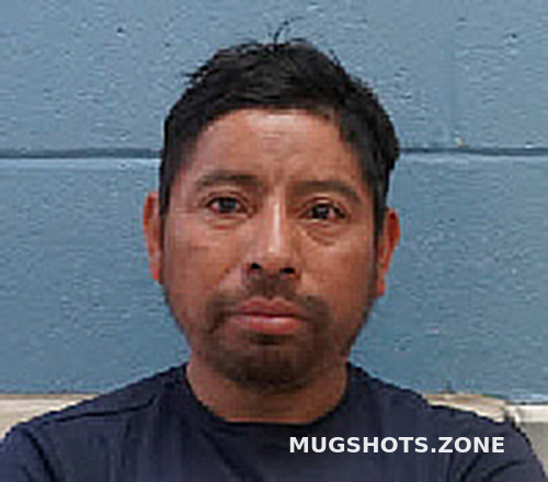 GUSTAVO ADOLFO-RAMOS RAMIREZ 01/19/2025 - Lee County Mugshots Zone