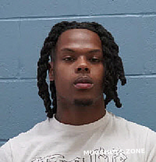 DA'ZAYLAN DAYSHAWN LEVETT 02/19/2025 - Lee County Mugshots Zone