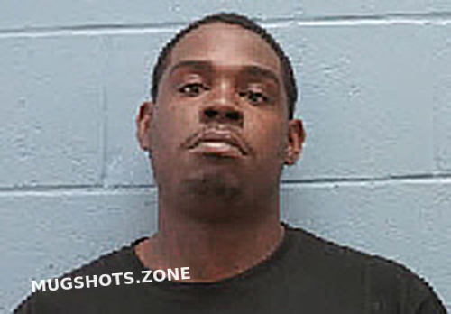 TYQUAVIOUS RAEQUAN MITCHELL 02/19/2025 - Lee County Mugshots Zone