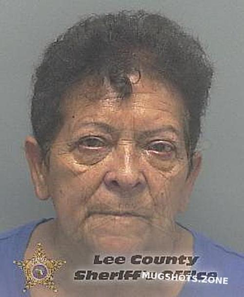 MATIAS LUZ C 11/24/2022 - Lee County Mugshots Zone