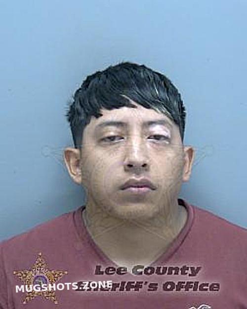 SEBASTIAN ESTEBAN STEVEN 11/19/2023 - Lee County Mugshots Zone