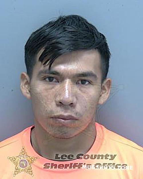 Caal Putul Walter Enrique 01 08 2024 Lee County Mugshots Zone
