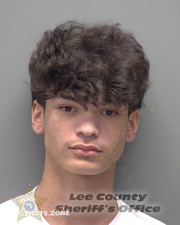 HICKMAN TANNER LEE 08/29/2024 - Lee County Mugshots Zone