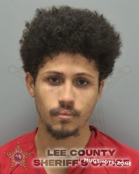 GRAY DARIAN 11/15/2025 - Lee County Mugshots Zone