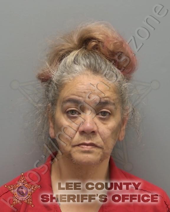 CASTRO MARILYN 05/22/2026 - Lee County Mugshots Zone