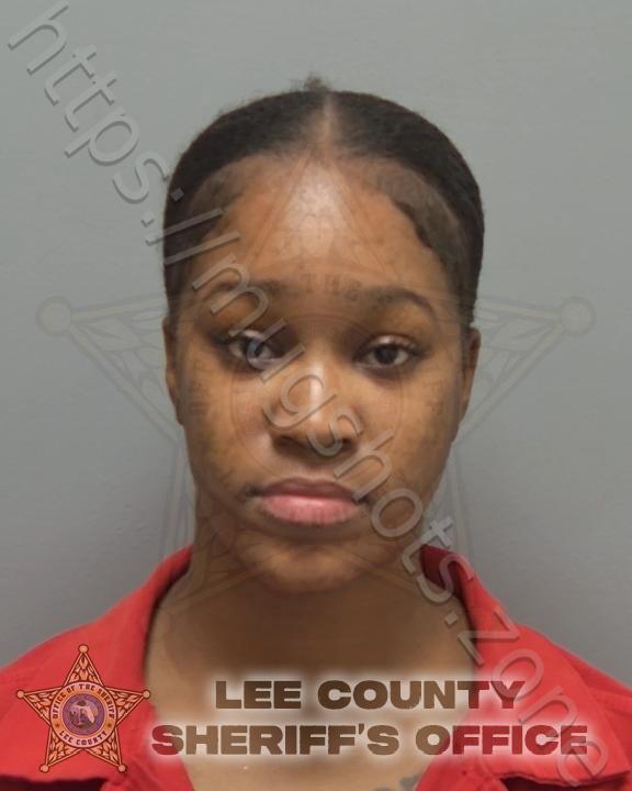 GEORGE TIFFANY 05/23/2026 - Lee County Mugshots Zone
