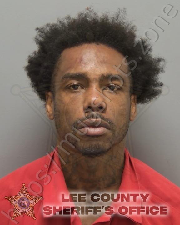 LIVINGSTONE JEREMY COLIN 05/30/2026 - Lee County Mugshots Zone