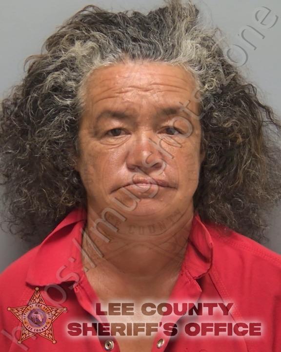 CINTRON FIGUEROA ROSA IVETTE 05/31/2026 - Lee County Mugshots Zone