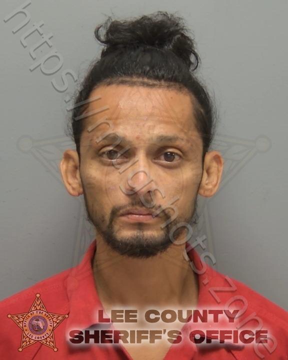 VILLALOBOS RAUDEL JR. 05/31/2026 - Lee County Mugshots Zone