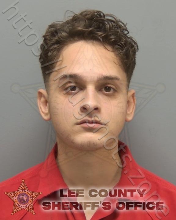 SALGUERO JUAN SEBASTIAN 06/01/2026 - Lee County Mugshots Zone