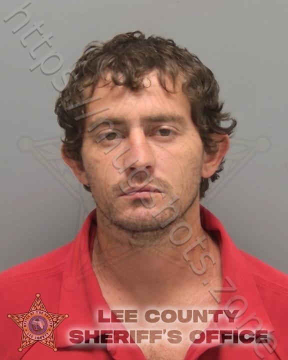 WILLIAMSON TRAVIS RAY 06/09/2026 - Lee County Mugshots Zone