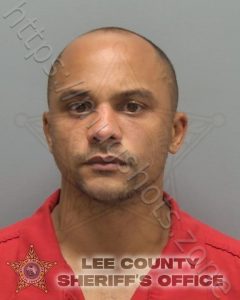 NADER JARVAR PAUL 06/24/2026 - Lee County Mugshots Zone