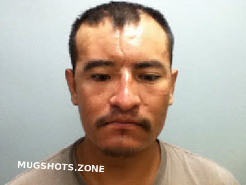 SANTANA-RIOS JAMIE 08/23/2022 - Lee County Mugshots Zone