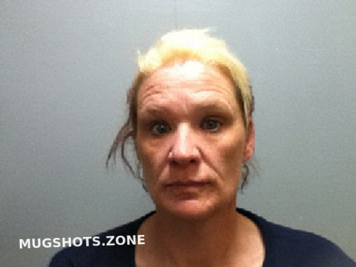 COOK LISA MARIE 11/12/2022 - Lee County Mugshots Zone