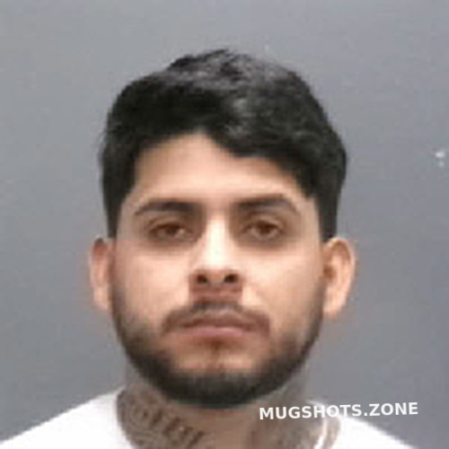 RAMOS JUAN LUIS GUERRERO 11/17/2024 - Lee County Mugshots Zone RAMOS JUAN LUIS GUERRERO 11/17/2024 - Lee County Mugshots Zone