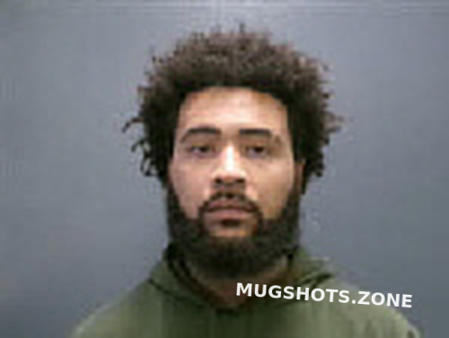 CHAVIS JOSHUA NACONA 11/22/2024 - Lee County Mugshots Zone