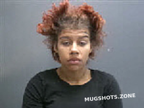 LOCKLEAR CHEYENNE MARIE 01/27/2025 - Lee County Mugshots Zone