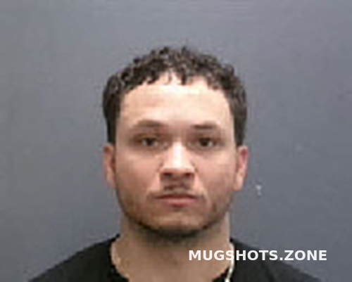 DAVIS JAYSON ALEXANDER 03/15/2025 - Lee County Mugshots Zone