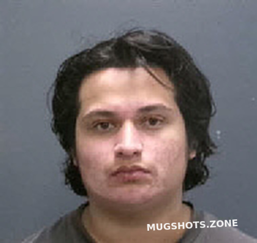 BURUCA-ROMERO STEPHEN ALEXANDER 03/24/2025 - Lee County Mugshots Zone