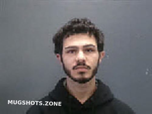 DAVIS WESLEY MITCHELL 06/02/2025 - Lee County Mugshots Zone
