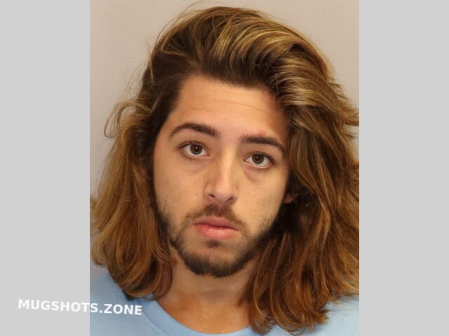 KLIRONOMOS ANGELO GEORGE 10/27/2022 - Leon County Mugshots Zone