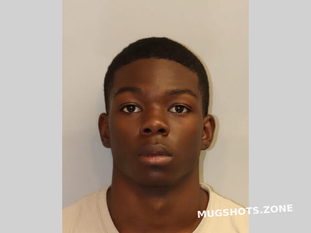 JOHNSON EDWARD DOUGLAS 01/18/2023 - Leon County Mugshots Zone