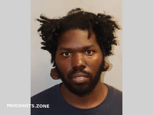 PITTS DARYL D 03/13/2024 - Leon County Mugshots Zone