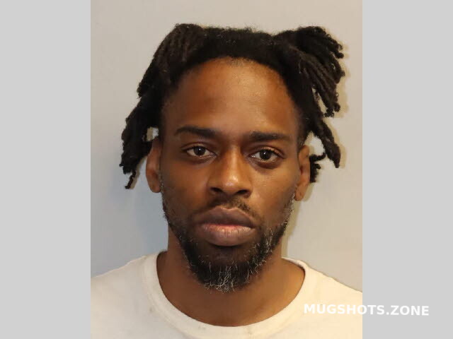 ROBINSON RYAN 03/28/2024 - Leon County Mugshots Zone