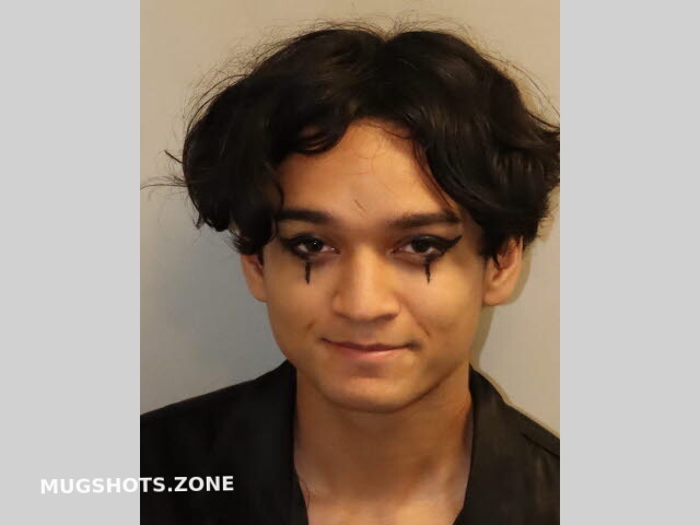 ST.PIERRE ROMEO NICHOLAS 04/25/2024 - Leon County Mugshots Zone