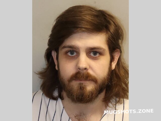 MAZZARELLA JORDAN WILLIAM 06/17/2024 - Leon County Mugshots Zone