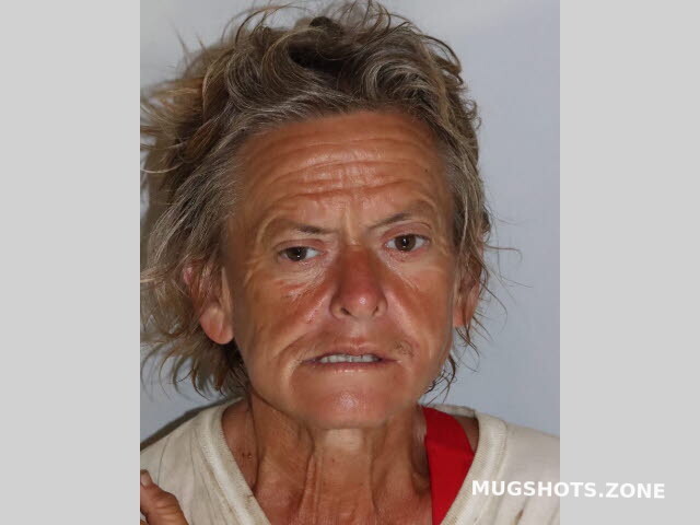 HAYES STACEY 06/21/2024 - Leon County Mugshots Zone