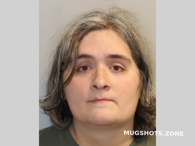 ANAYA JOSHUA MICHAEL 08/01/2024 - Leon County Mugshots Zone