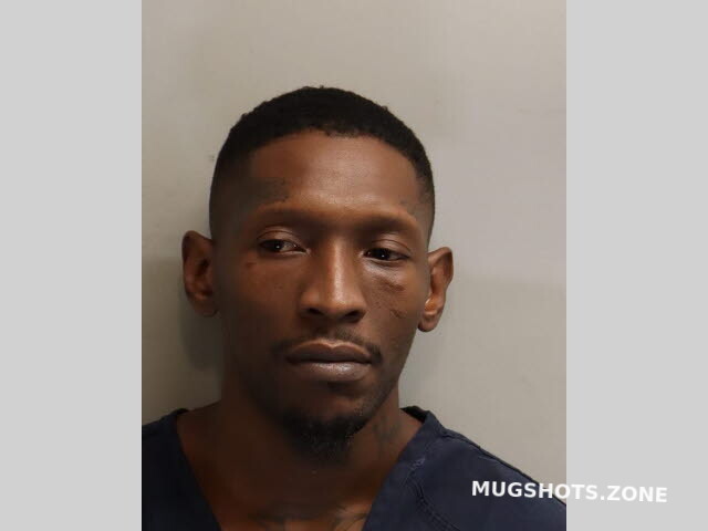 TURNER JAMIE LASHUN 08/13/2024 - Leon County Mugshots Zone