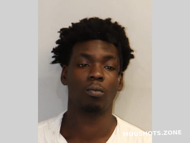 WILLIAMS JOSEPH E 10/22/2024 - Leon County Mugshots Zone