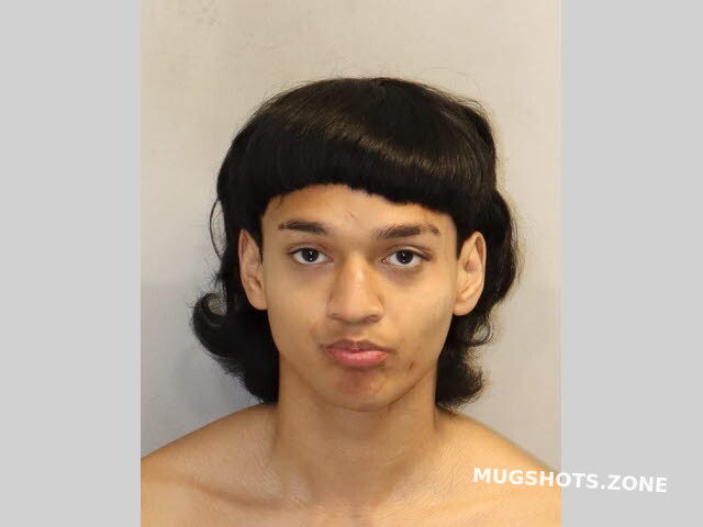 ST.PIERRE ROMEO NICHOLAS 10/24/2024 - Leon County Mugshots Zone