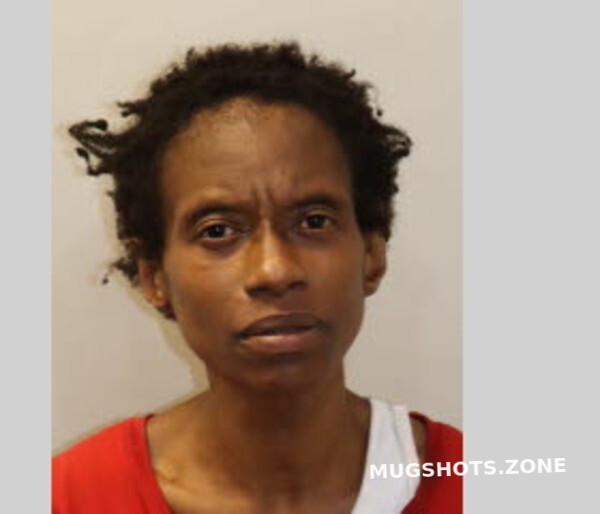 ANDERSON SHERRI L 09/19/2025 - Leon County Mugshots Zone