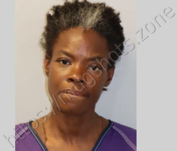 CHISOLM MICHELLE L 03/24/2026 - Leon County Mugshots Zone