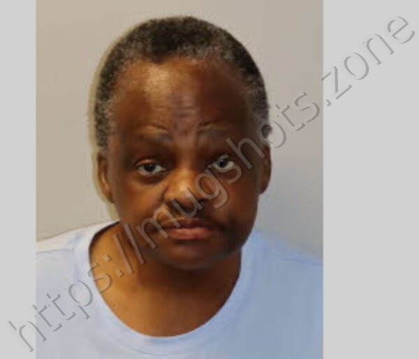 HARDISON BERNESTINE T 04/06/2026 - Leon County Mugshots Zone