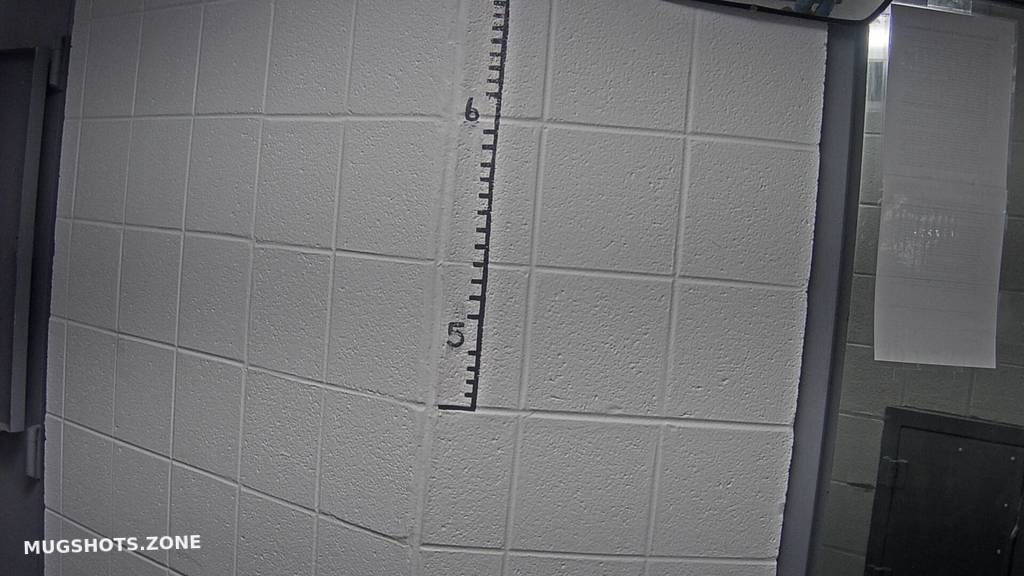 BREEDING ADAM SHANE 10/30/2024 - Letcher County Mugshots Zone