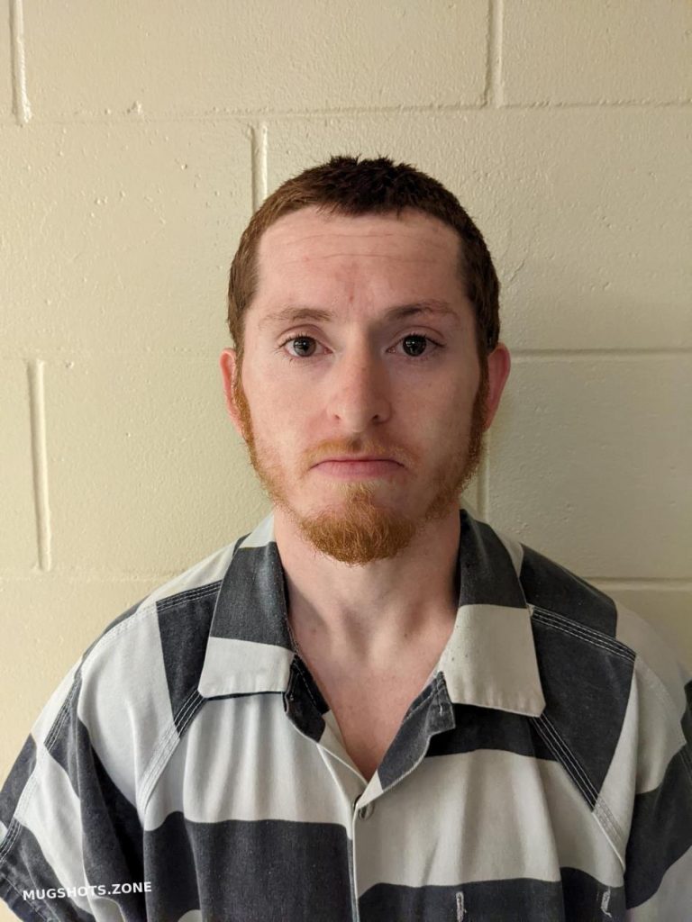 TYSINGER MATTHEW 02/23/2022 - Levy County Mugshots Zone
