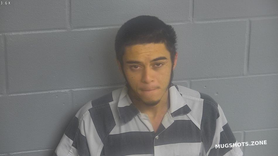 DISON DEREK WAYNE 10/20/2022 - Levy County Mugshots Zone