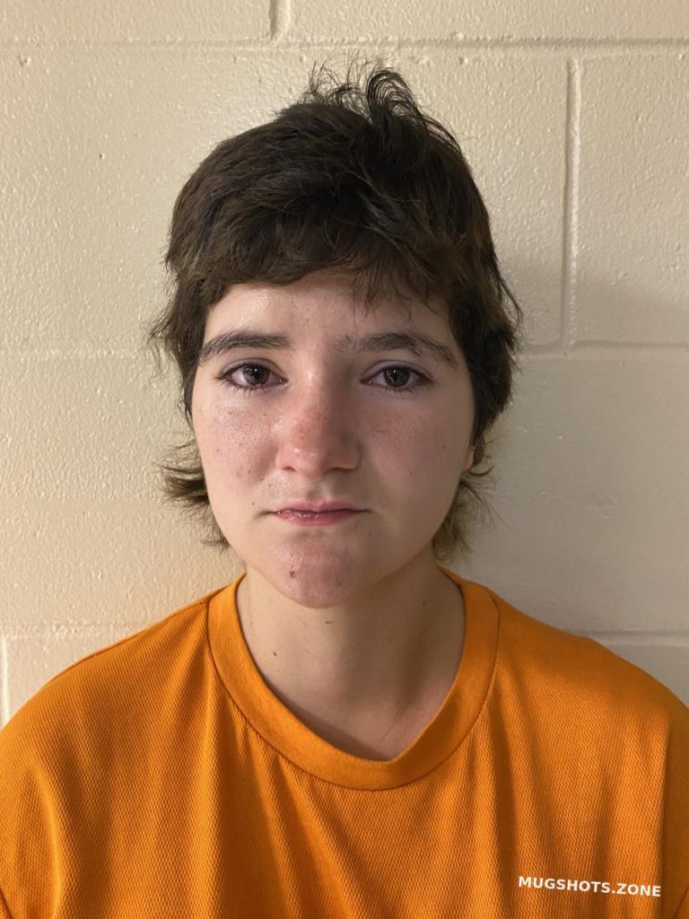 PERKINS AIMEE LYNETTE 11/05/2022 - Levy County Mugshots Zone