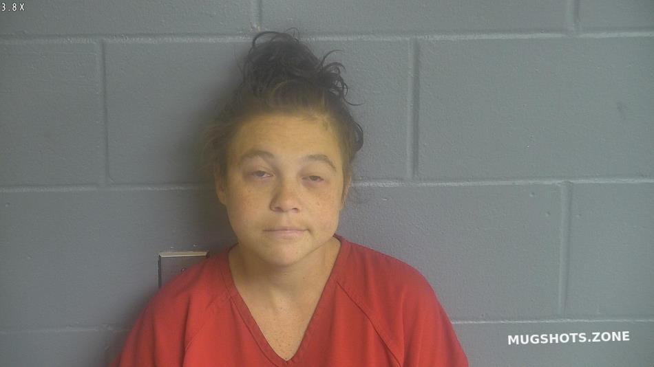 JOHNSON TIFFANY 11/07/2022 - Levy County Mugshots Zone